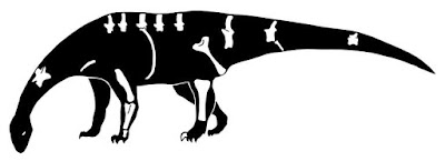 Meet Pulanesaura eocollum, a new species of dinosaur - The Archaeology ...
