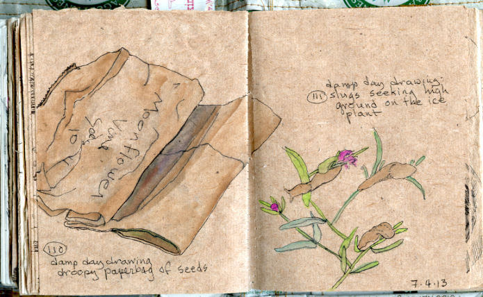 Real Life Journals: Continuing with Damp Drawings