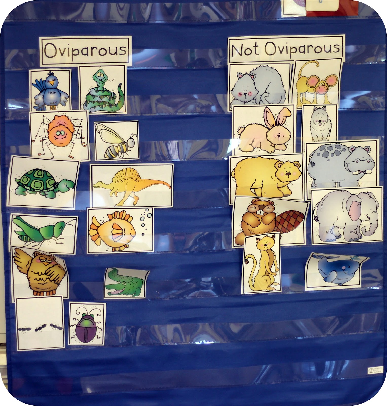 Eberhart's Explorers: A peek at last week...Easter/Oviparous Animals!