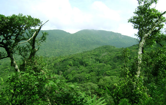 සිංහරාජ වනාන්තරය