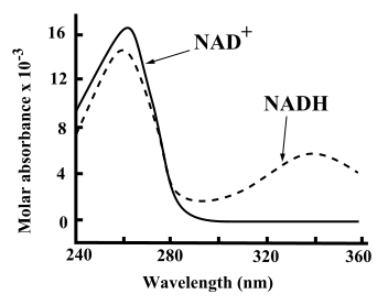 Oenology thesis: Plumpton College gets a touch of Formula 1