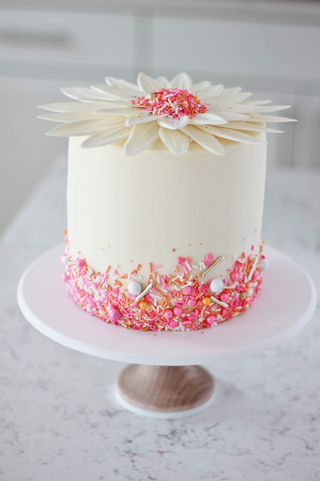 Chocolate Daisy Cake