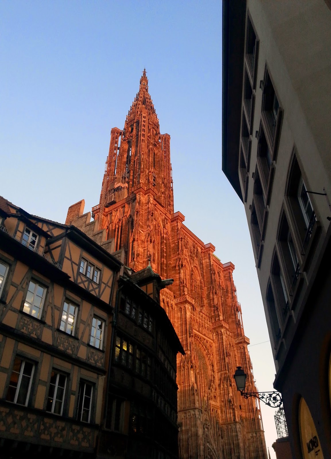 CAnMove - Centre for Animal Movement Research: Bio-logging in Strasbourg