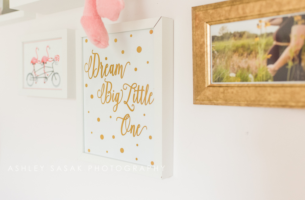 BABY KAUFMAN ADVENTURES: Lola's Flamingo Nursery