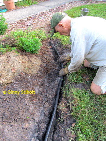 Green Gardening Matters: Further lawn reduction, more edible garden ...