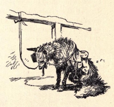 BRER RABBIT: TALES of a TRICKSTER: C007. Brer Rabbit Rides Brer Fox Again