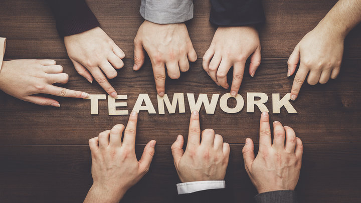 Employablity Skills: Employability Skills-Teamwork
