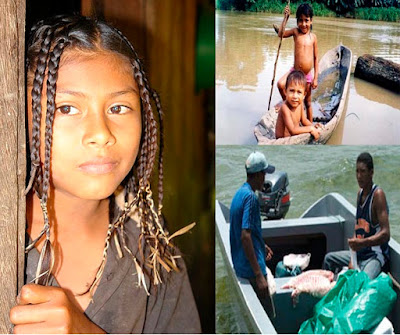 Brassavola Digbyana: Los Misquitos
