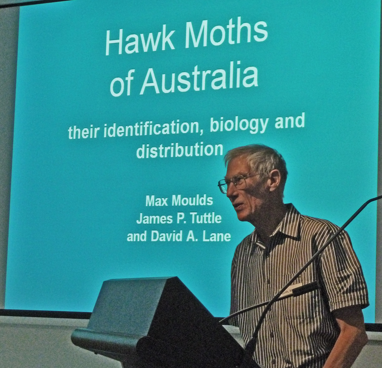 BunyipCo: Mothfest 2013