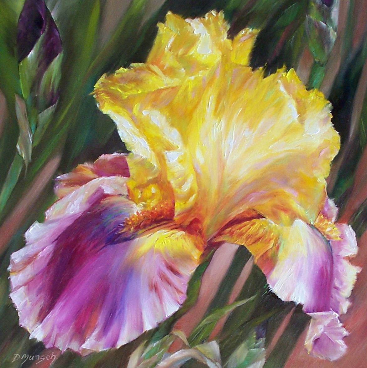 Donna Munsch Fine Art: Original Oil Painting Iris