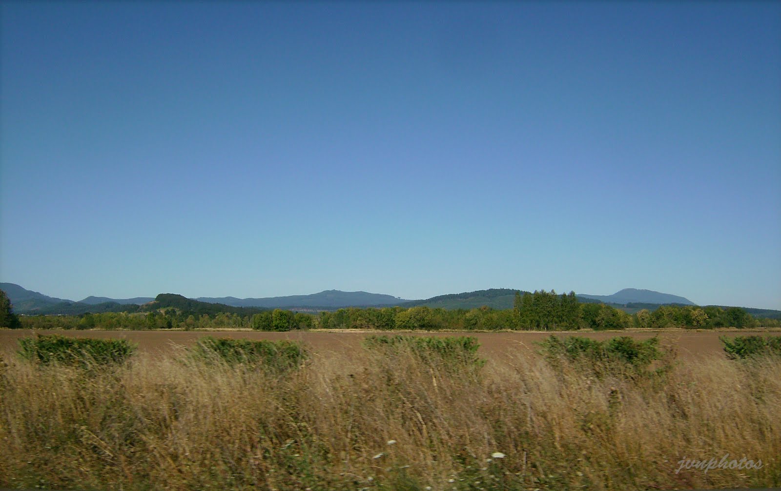 Photos by Jan: Kings Valley, Oregon Renaissance Fair