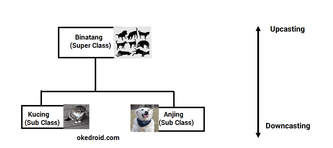 Belajar Mengenal Upcasting Dan Downcasting Objek Di Aktivitas Java ...