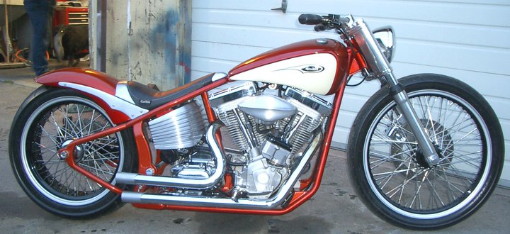 my little wing: The Beautiful Loser by Cole Foster - Salinas Boys