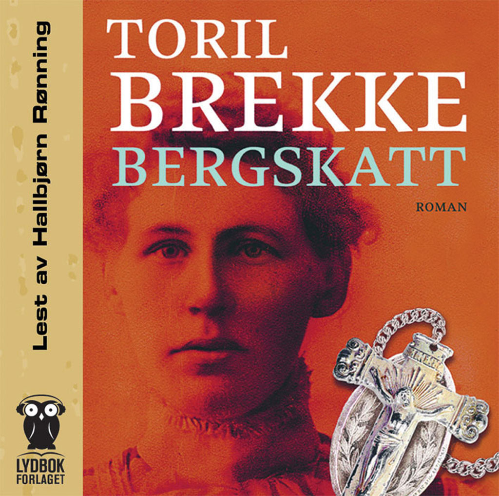 Ariel: Bok 78 2017: "Bergskatt" av Toril Brekke
