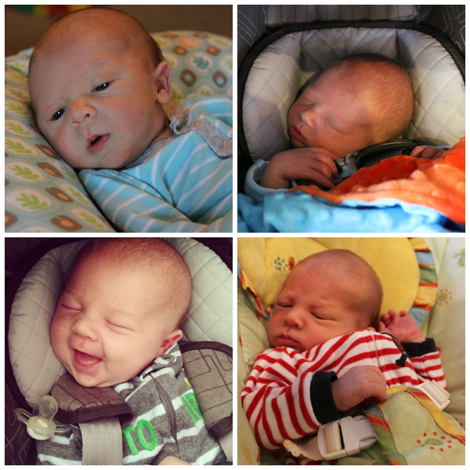 The Link Home: torticollis AKA twisted neck