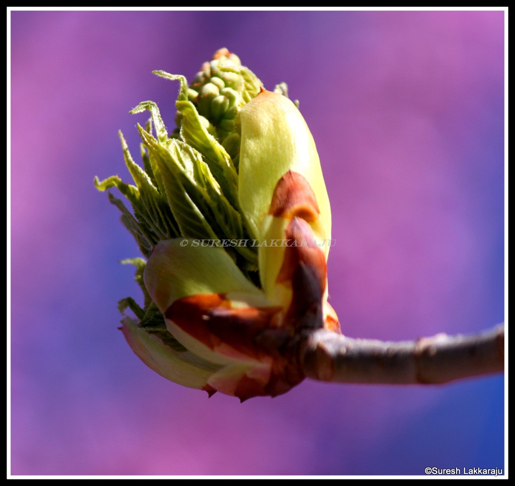 Reflections...: Spring Colors