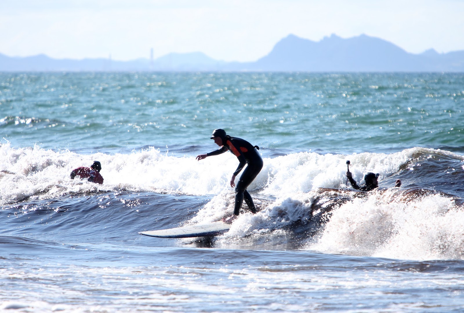 fish and log: surfline sliders