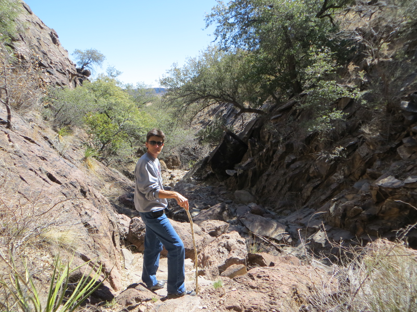 Livin' the Dream 2: Chihuahuan Desert