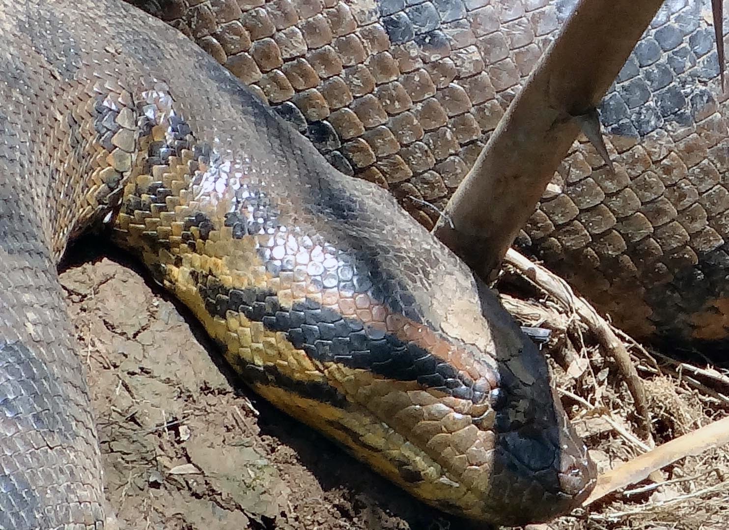 Garden on the Edge: Most Exciting Event of Amazon Watershed Trip