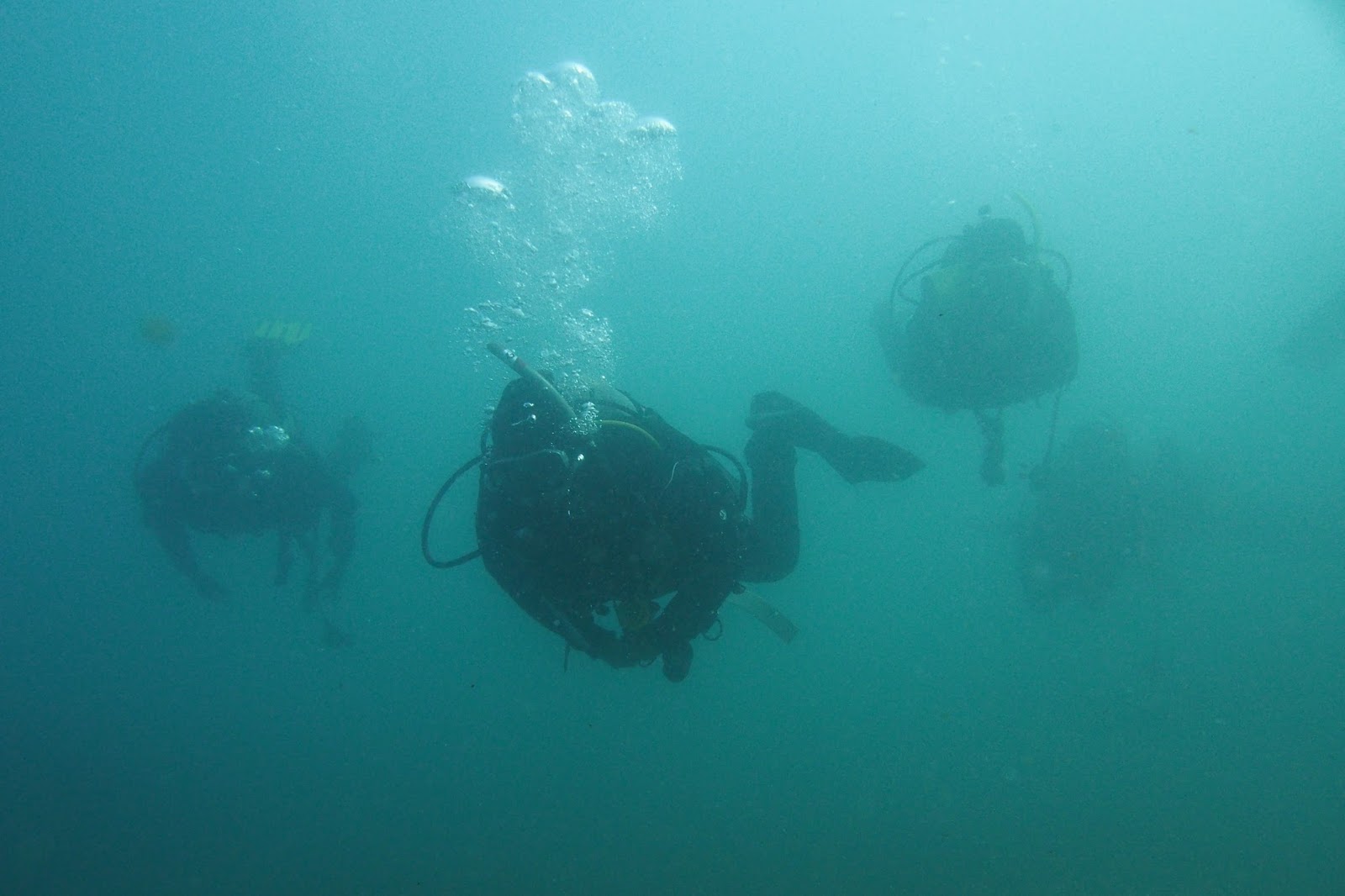NAUI MASTER SCUBA DIVER COURSE in HOKKAIDO