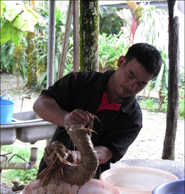 a life without socks: Sakau