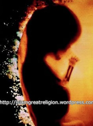 Miralces: Allah’s Miracle in Human Creation