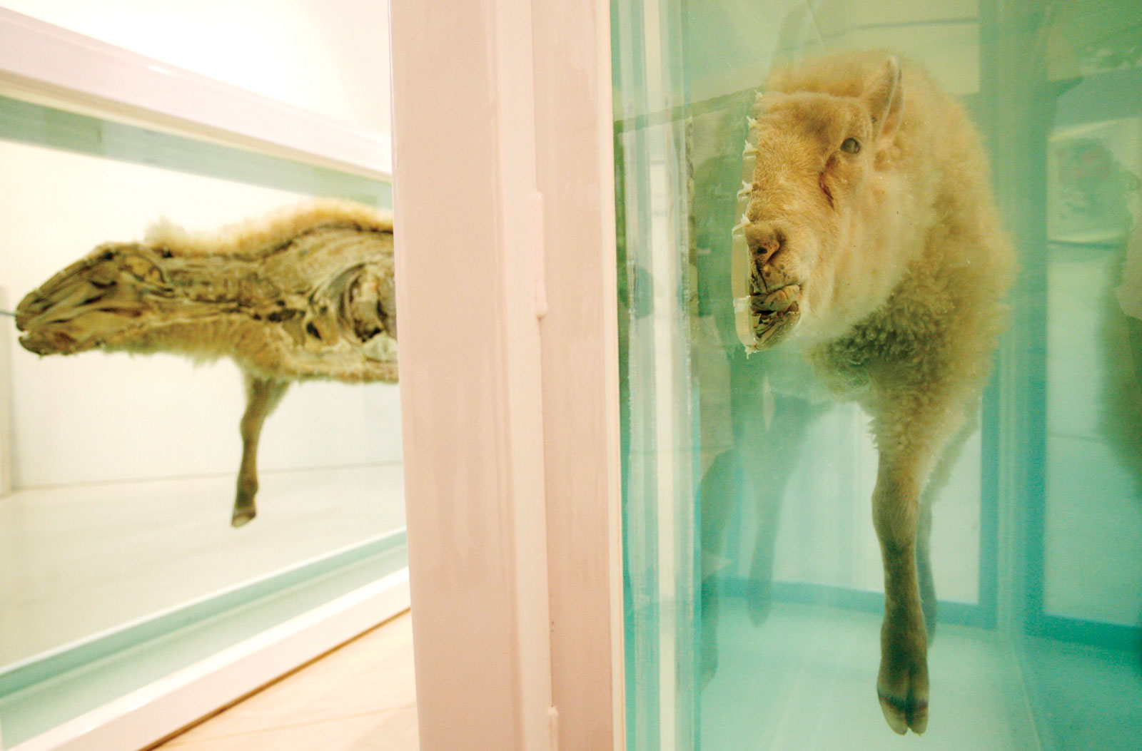 New Art Works: Damien Hirst