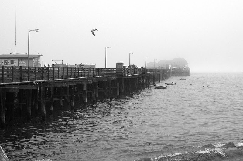 Patrick Tillett: Central California Coast - Port San Luis