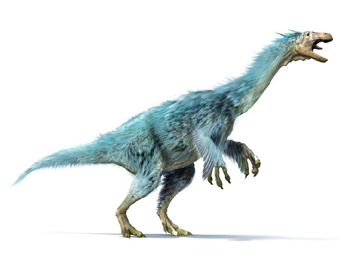 Mundo Pré-Histórico: Alxassauro, o elo dos terizinossauros