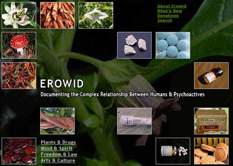 Terra Incognita: Erowid 818 in September Drive