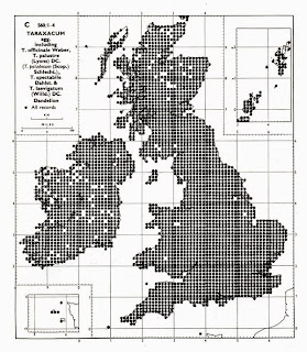 Dandelions: Atlas of the British Flora