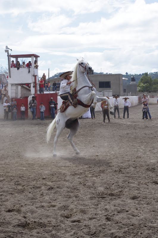 TLAXCO ReViStA vIrTuAl CARRO GRIS: Cabalgata Pedro Domecq