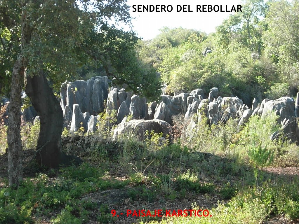 HACEMOS CAMINOS: Sendero del Rebollar