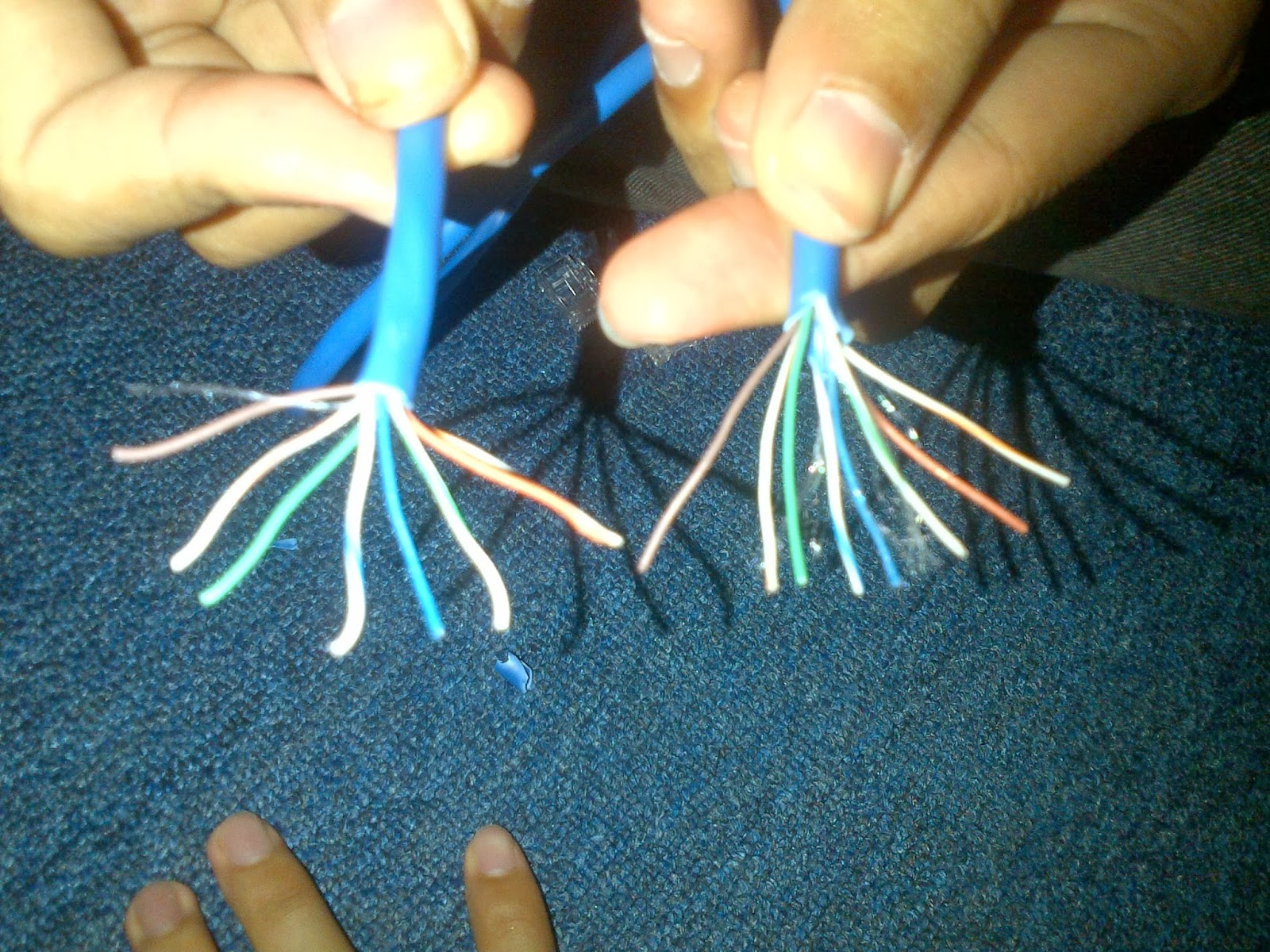 Langkah-Langkah MEMASANG KABEL LAN DENGAN BENAR