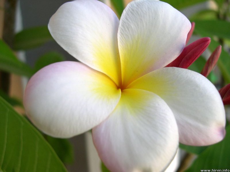 සඳ පහන...: November 2011