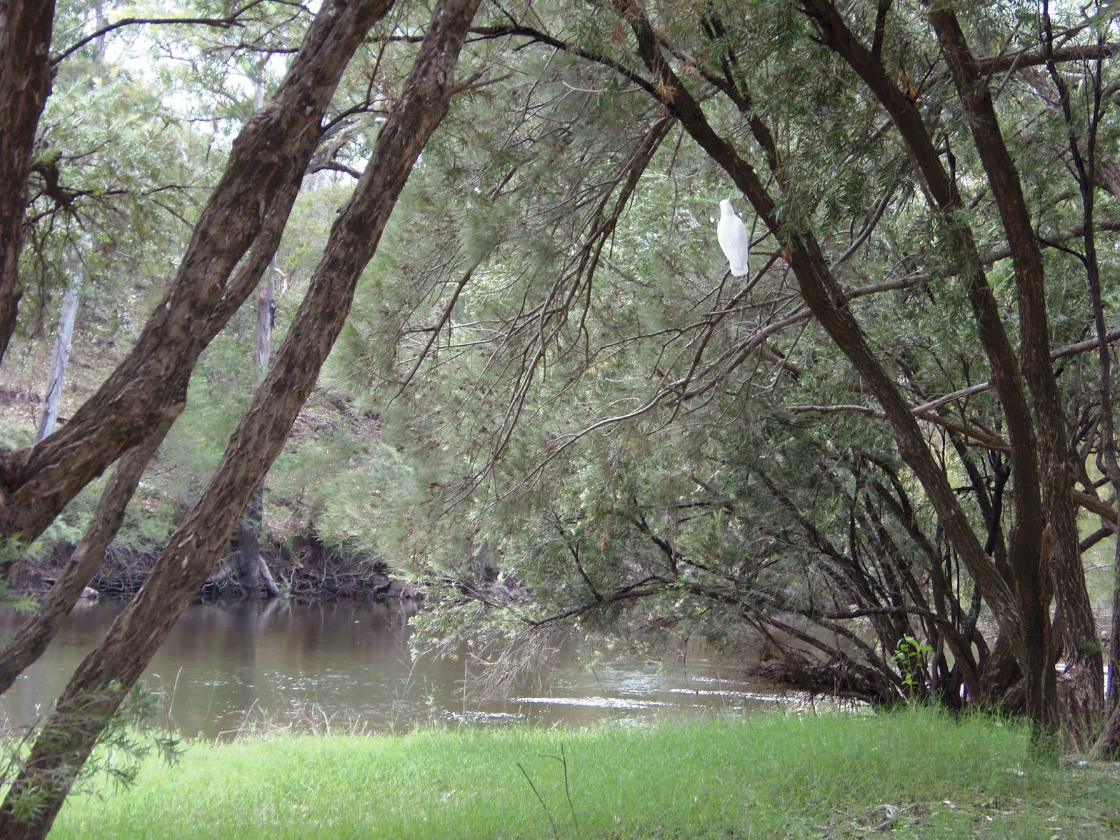 Solo Steve On The Road: BEAUTIFUL BINGARA NSW - REVISITED