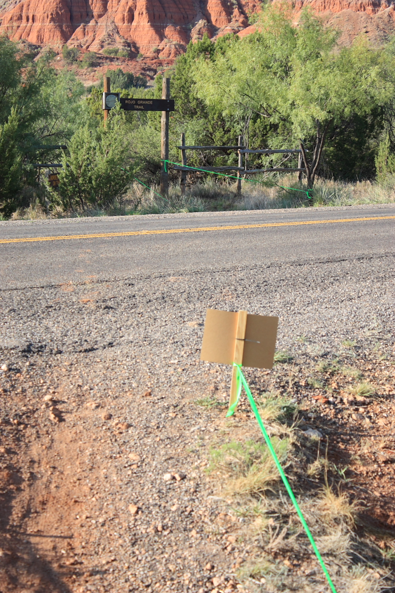 Blog O' Things: Palo Duro Trail Run Course Guide