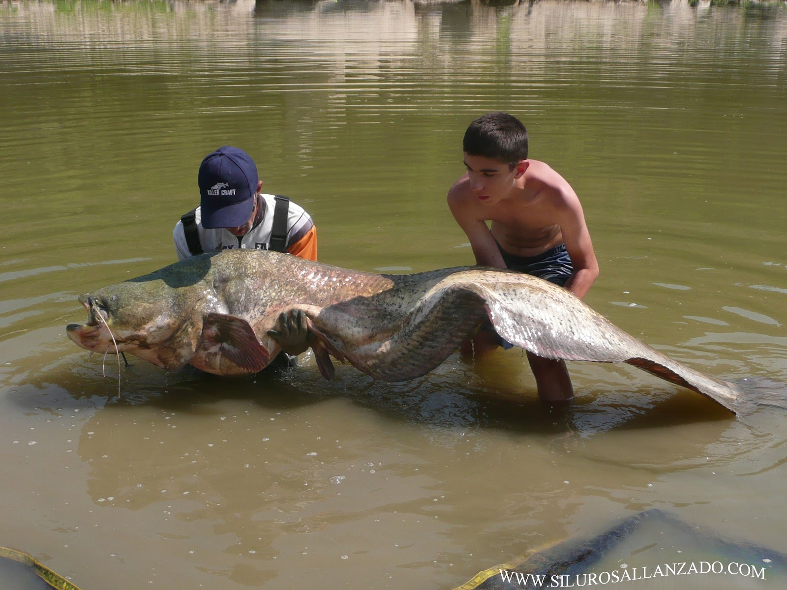 PESCA DEL SILURO EN EL EBRO: PESCA GUIADA DEL SILURO - NUEVO RECORD ...
