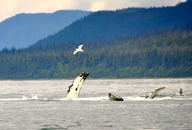 Summer Solstice in the Last Frontier: JUNEAU