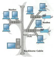 Jaringan Komputer: Pengertian dan Jenis- jenis Topologi Jaringan Komputer
