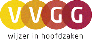 Vlaamse Vereniging voor Geestelijke Gezondheid vzw: wat is de VVGG?