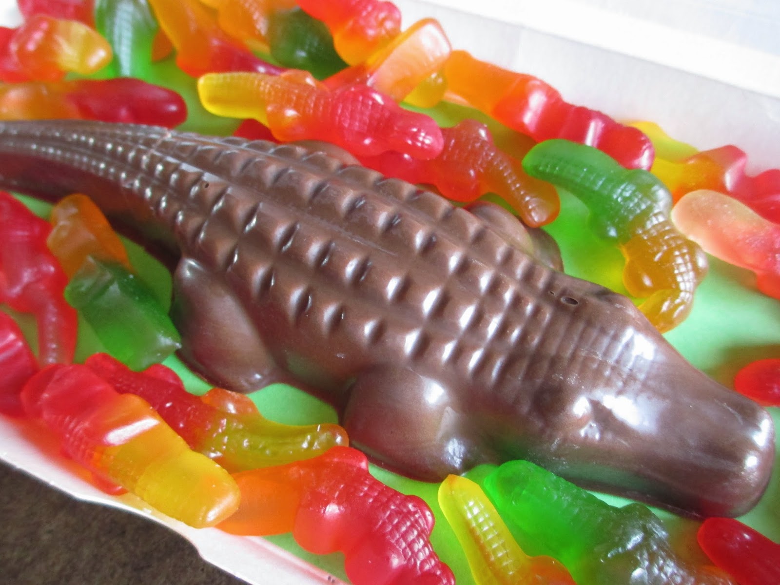 Delirious Documentations: Anastasia Confections: Chocolate Gator ...