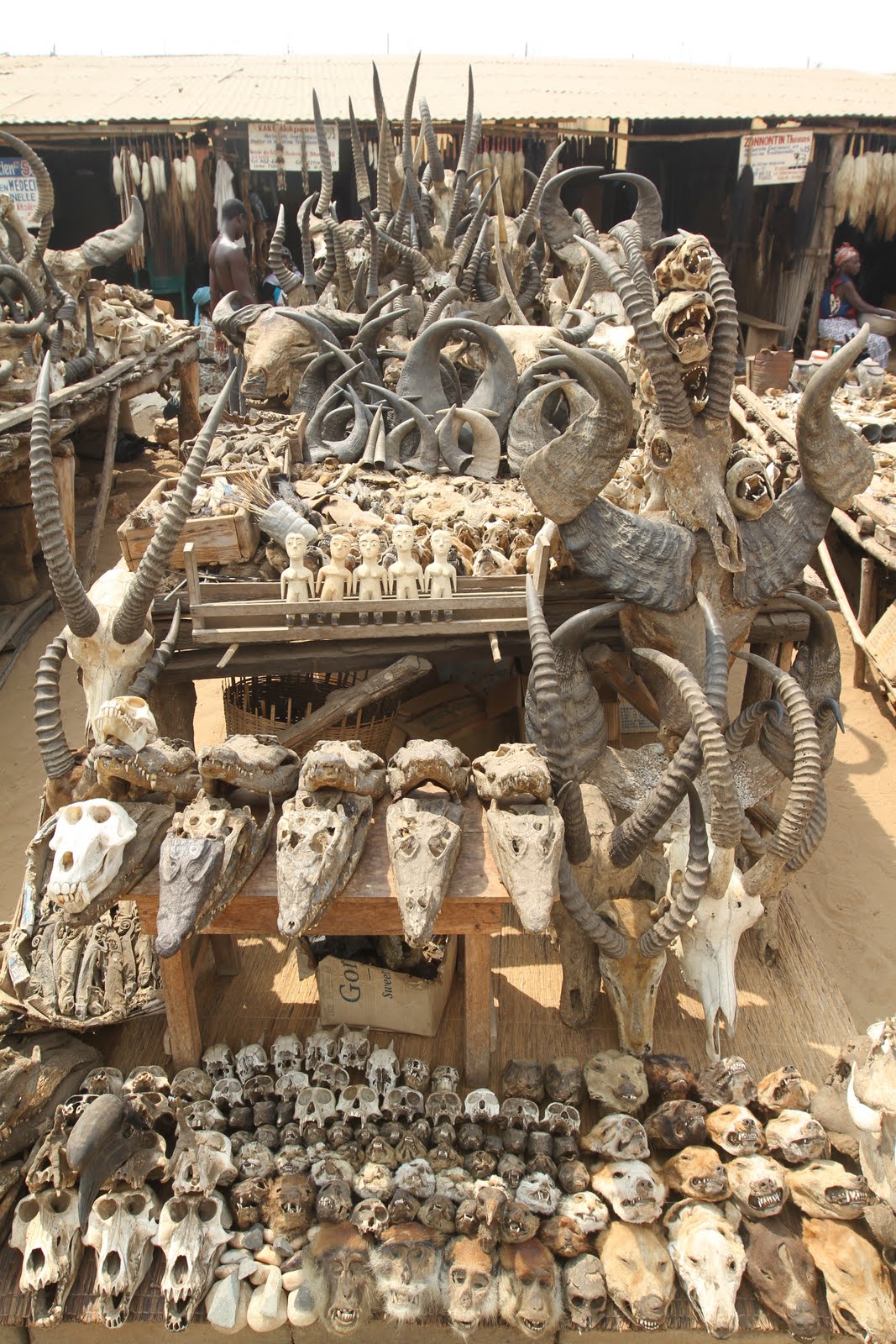 Beyond Adventure: The Powers of Voodoo, Don't Mess with IT.