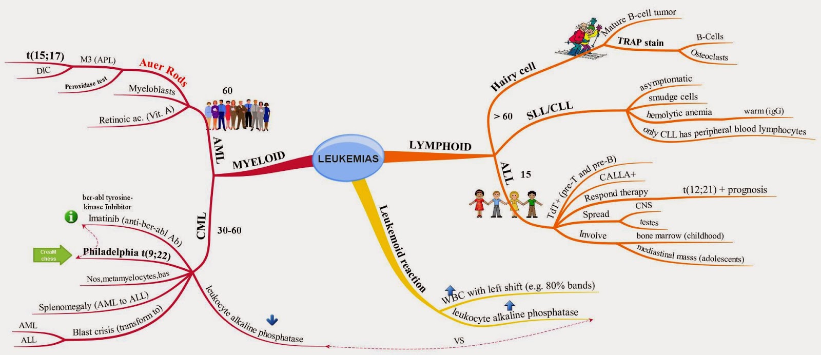 Medical MindMaps for USMLE Step 1: Leukemias
