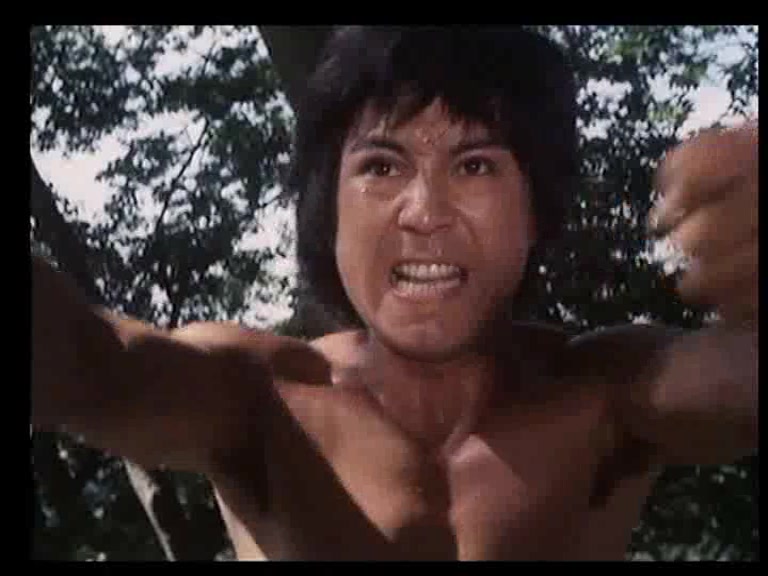 SHAOLIN'S BORN INVINCIBLE a.k.a BORN INVINCIBLE