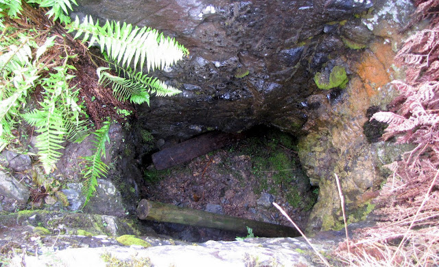 The Glebe Blog: Mushroom and Mine