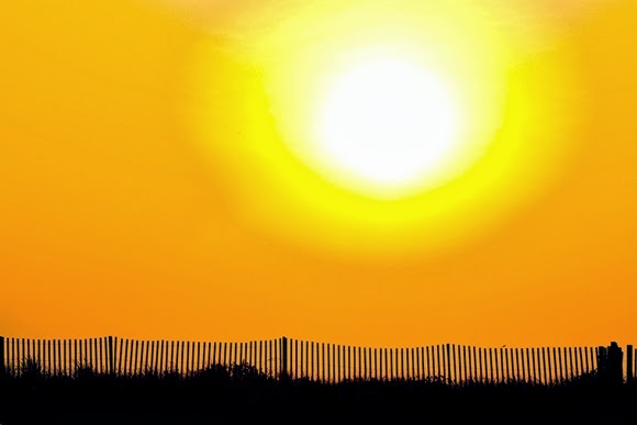 Amarelo da cor do sol | Simple Art