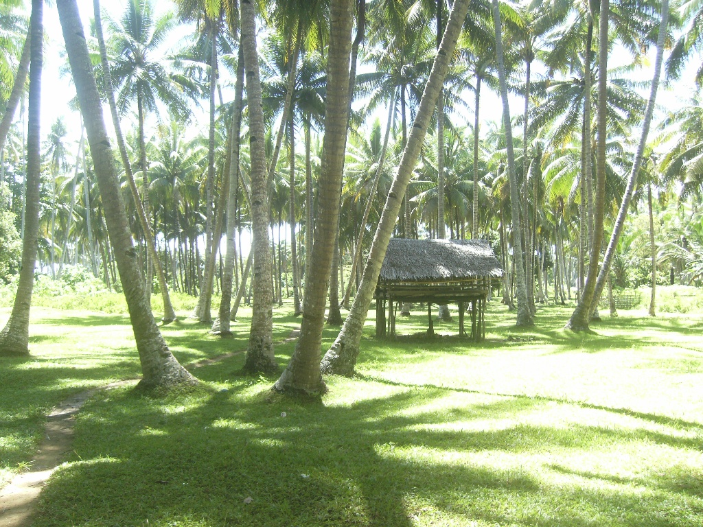 Indonesian Tourism: Obi Island, South Halmahera