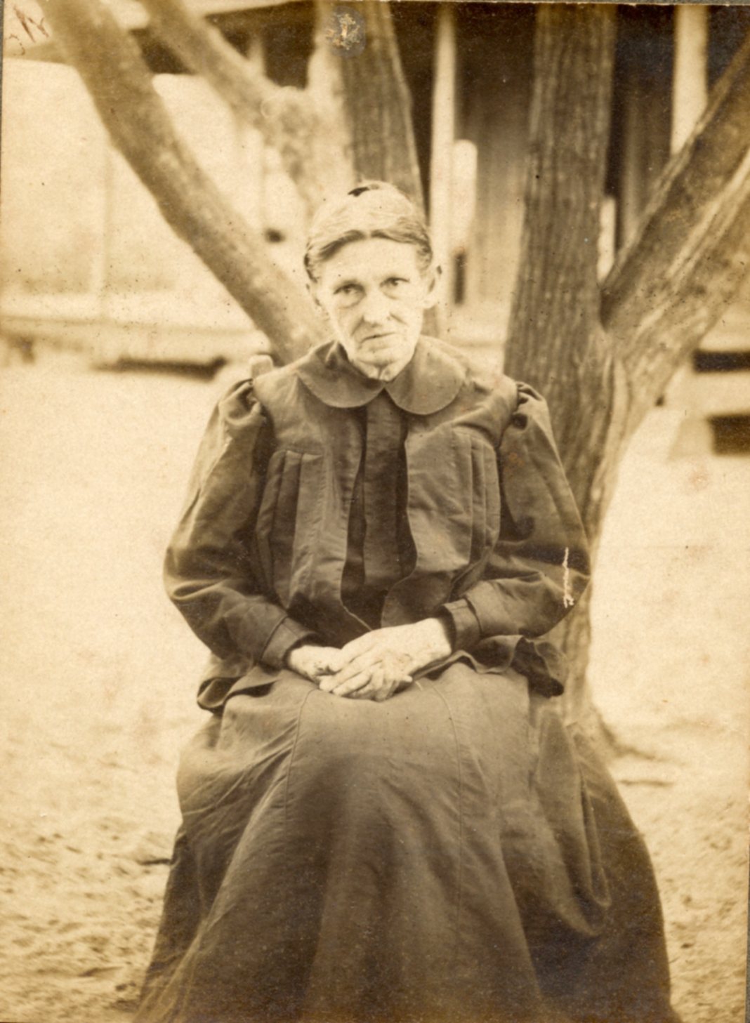 The Flying Shuttle: The Family of Napoleon Bonaparte Barclay & Martha ...