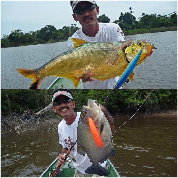ANGLING WORLD 魔魚釣界: Adventure Fishing @ Amazonia Rio Negro